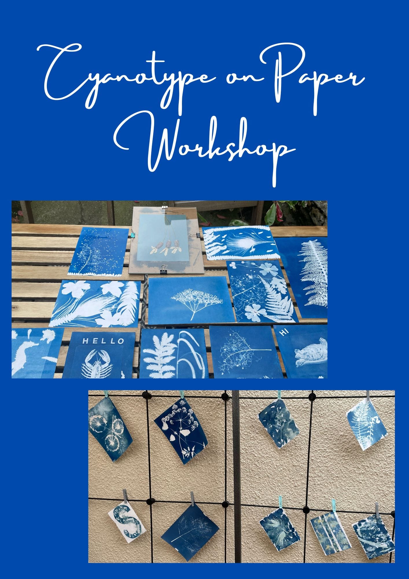 Cyanotype on paper workshop | Brilliance in Blue